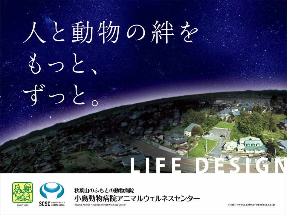 PCAP 2023 テーマは’せい’ | 小島動物病院アニマルウェルネスセンター｜新潟市秋葉区の動物病院｜犬、猫、エキゾチックアニマル
