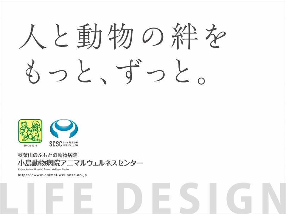 PCAP 2023 テーマは’せい’ | 小島動物病院アニマルウェルネスセンター｜新潟市秋葉区の動物病院｜犬、猫、エキゾチックアニマル